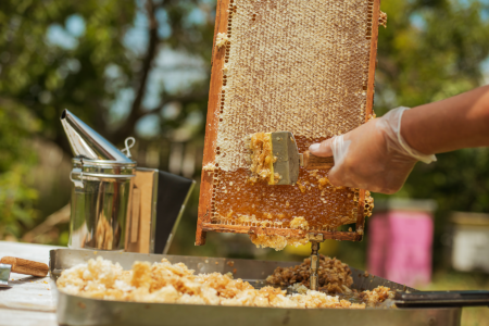 How to Build a DIY Honey Extractor – Mother Earth News